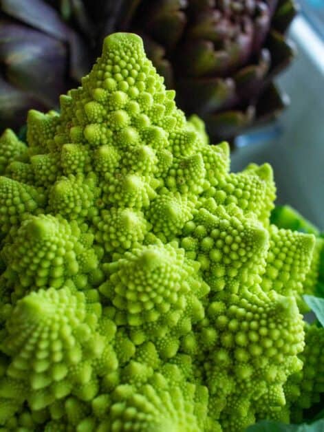 Romanesco Broccoli Recipe | Our Plant-Based World
