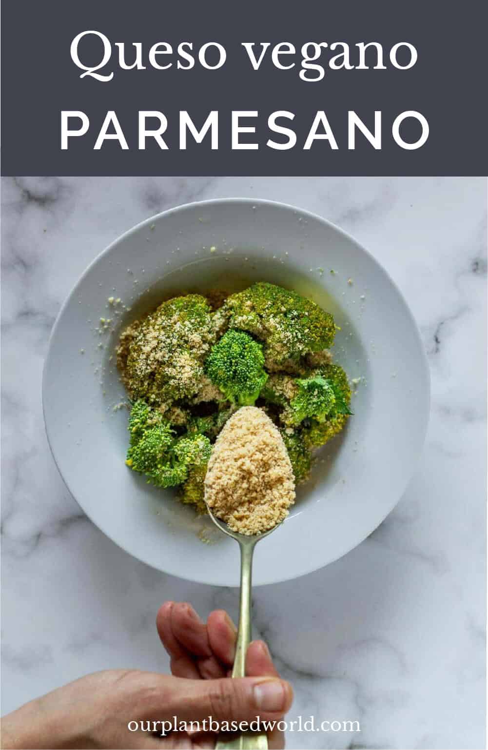 Homemade Vegan Parmesan Recipe + Substitute for Nutritional Yeast
