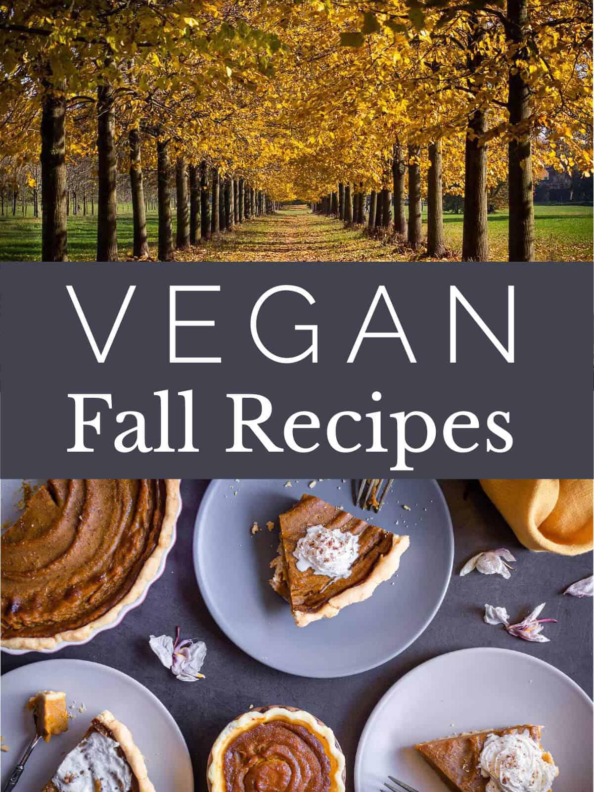 41 Best Vegan Fall Recipes