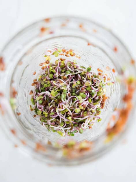 15 Recipes with Sprouts, How to eat Sprouts Ideas