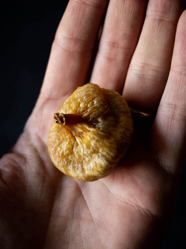 Healthy Fig Bars Recipe (Gluten-Free, 5-ingredient, No-Bake)