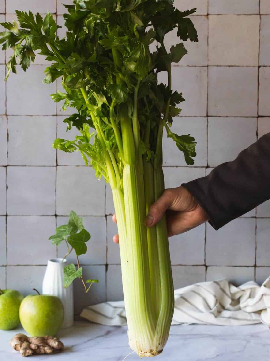 12 Benefits Beetroot Juice Before Workout | Our Plant-Based World