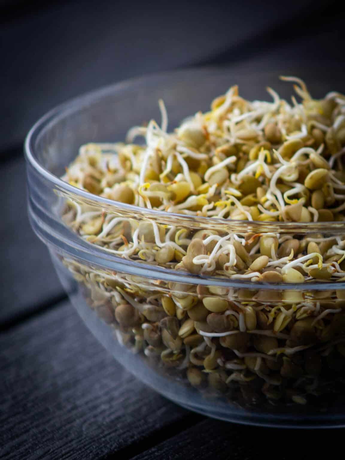 Curried Hearty and Spicy Sprouted Lentil Soup • Our Plant-Based World