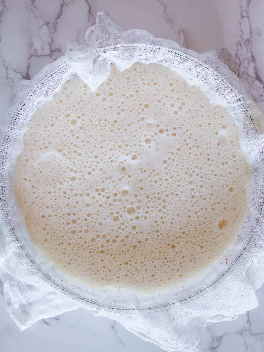 Making Soy Milk: 6 Easy Steps • Our Plant-Based World