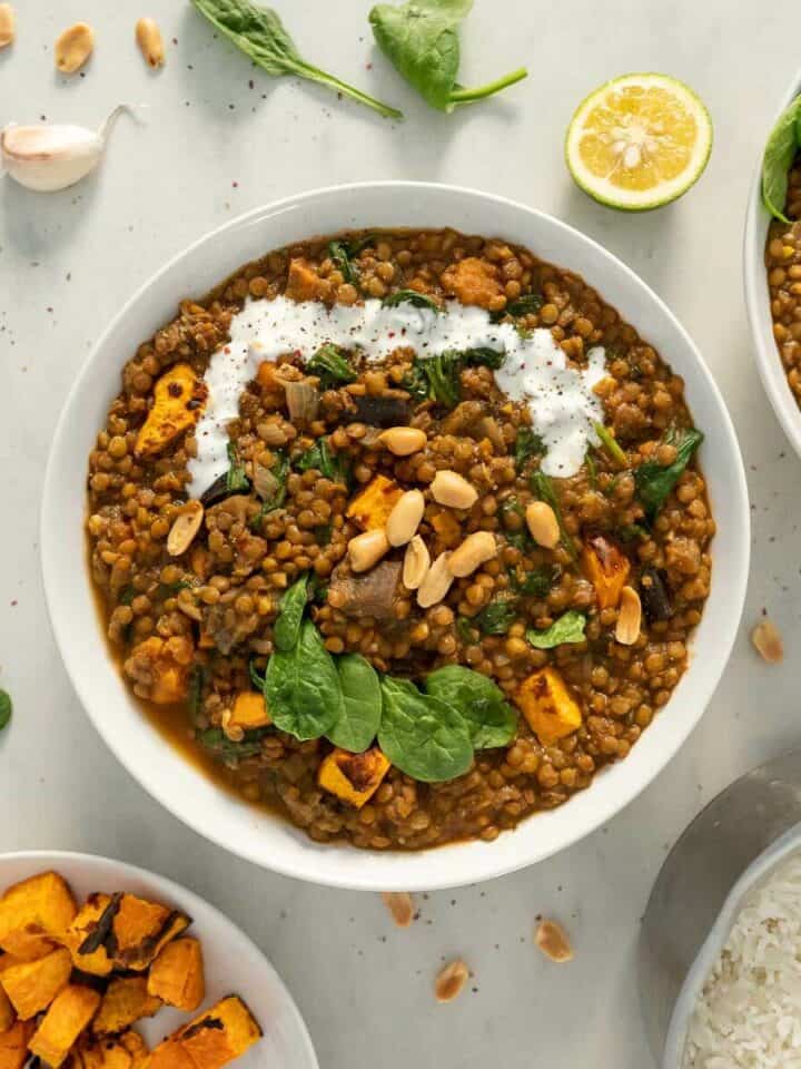 Vegan Main Meals Recipes • Our Plant-Based World