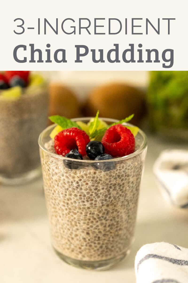 3-Ingredient Chia Pudding with Oat Milk | Our Plant-Based World