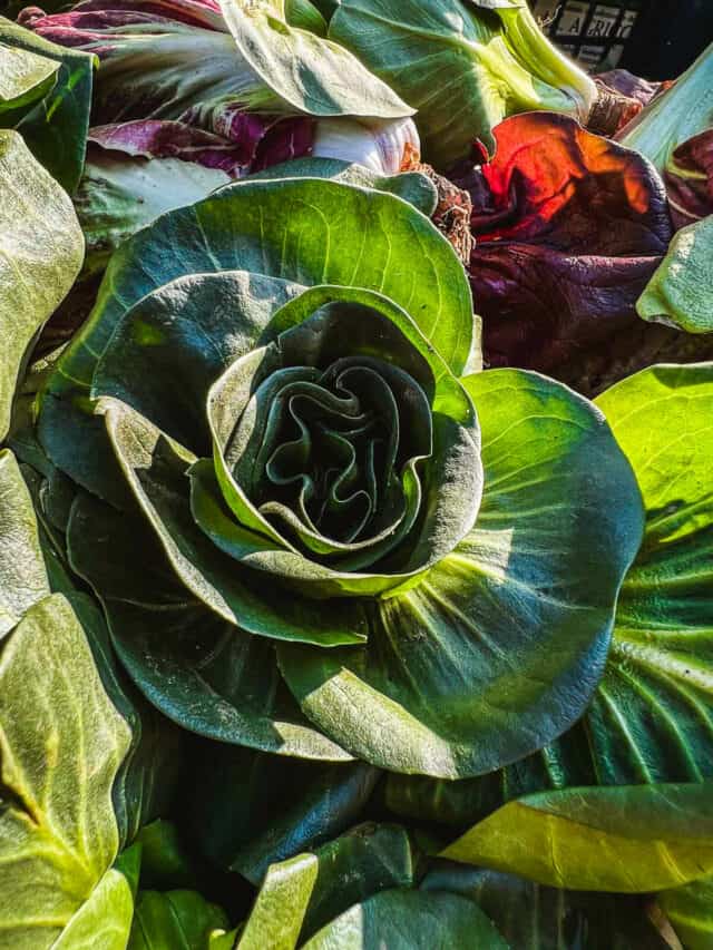 Green Veggies: A Guide to Leafy Greens and Vegetables