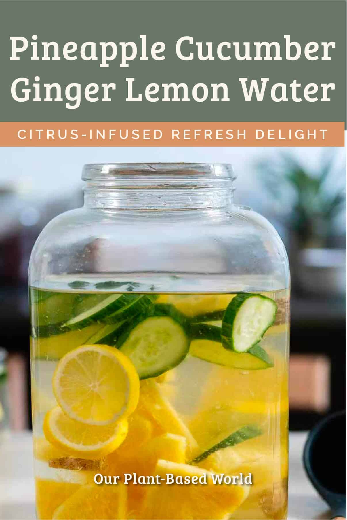 Pineapple Ginger Cucumber Lemon Water Recipe