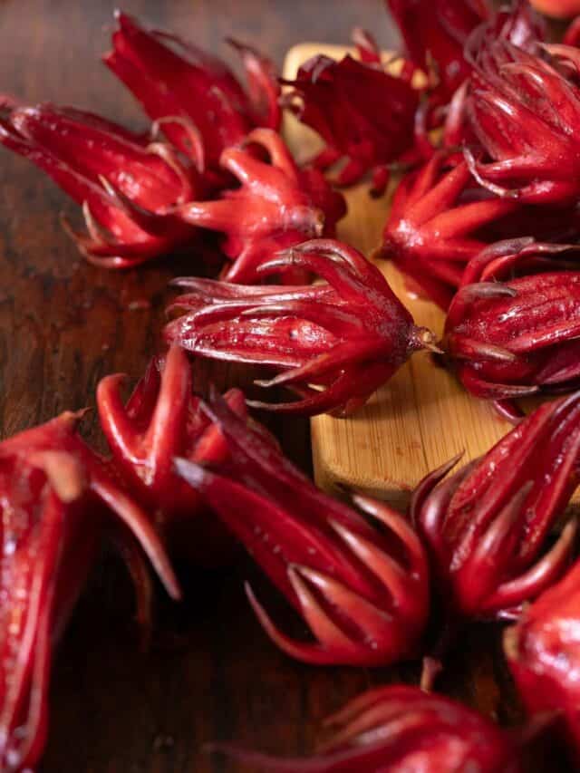 Caribbean Sorrel Drink