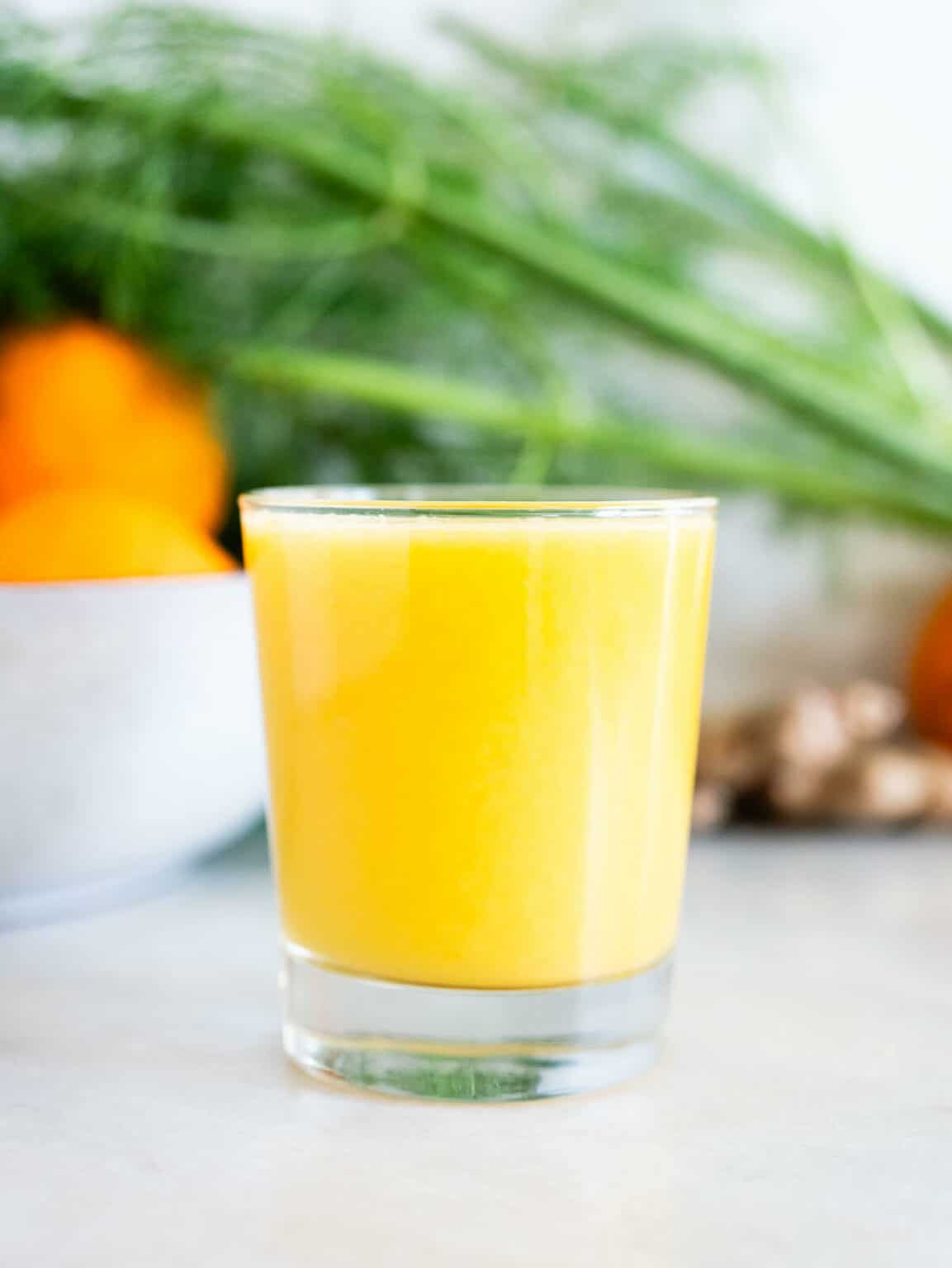 Fennel Juice for Upset Stomach (Juicer or Blender)