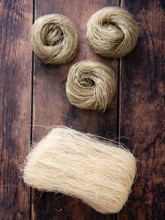 The ABCs of Noodles: Understanding Different Types of Noodles | Our ...